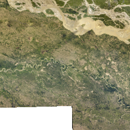 ArcGIS Web Application
